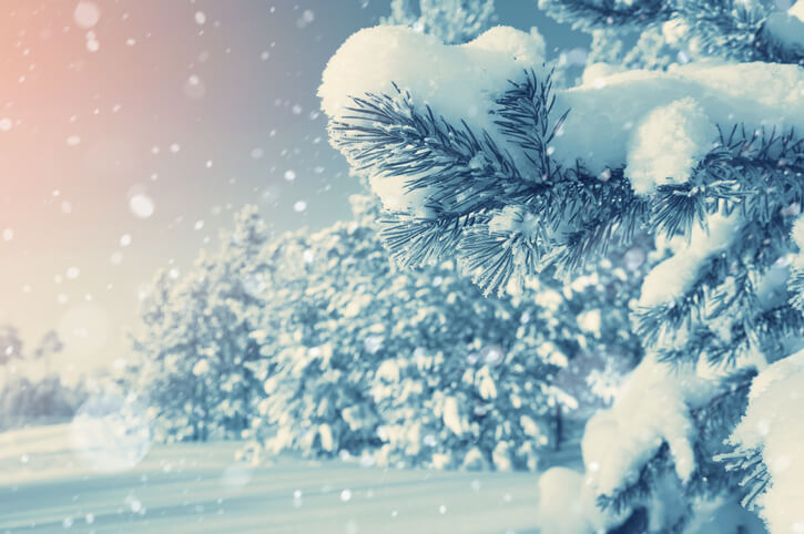 2024 CPA Winter Closure - CPA | The Credit Protection Association